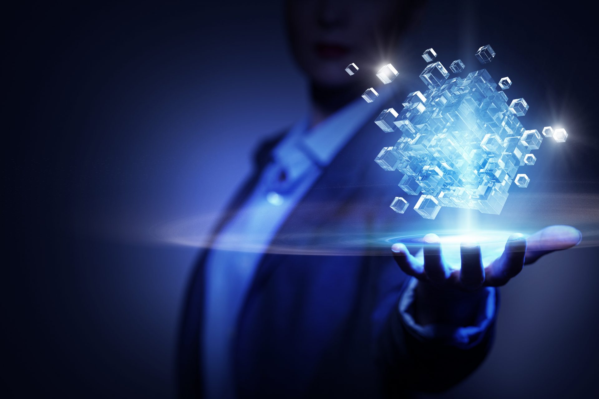 Operational Capability and Performance Audit