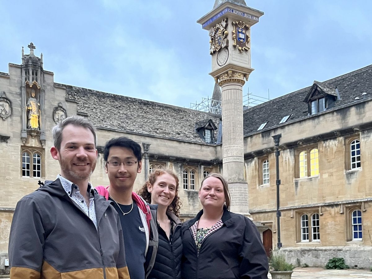 Learning from world experts in fusion: Optima Systems Consultancy's ...